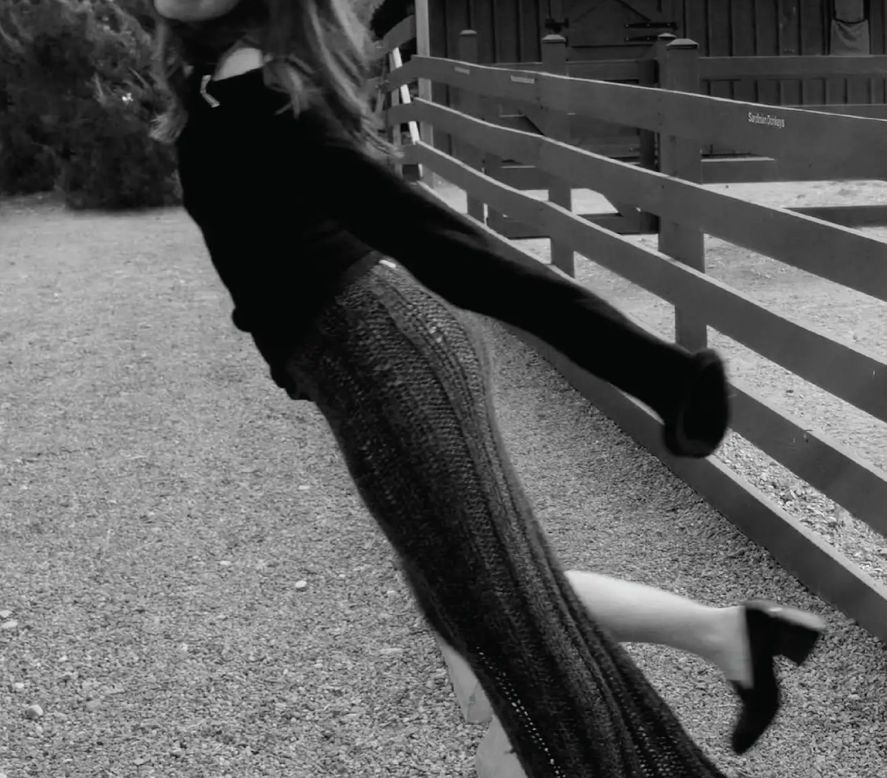 ECHO – FIELD + SUPPLY