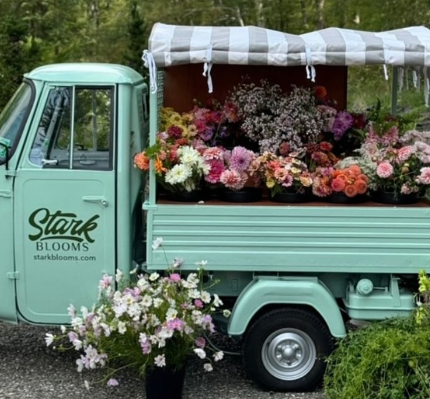Stark Blooms – FIELD + SUPPLY