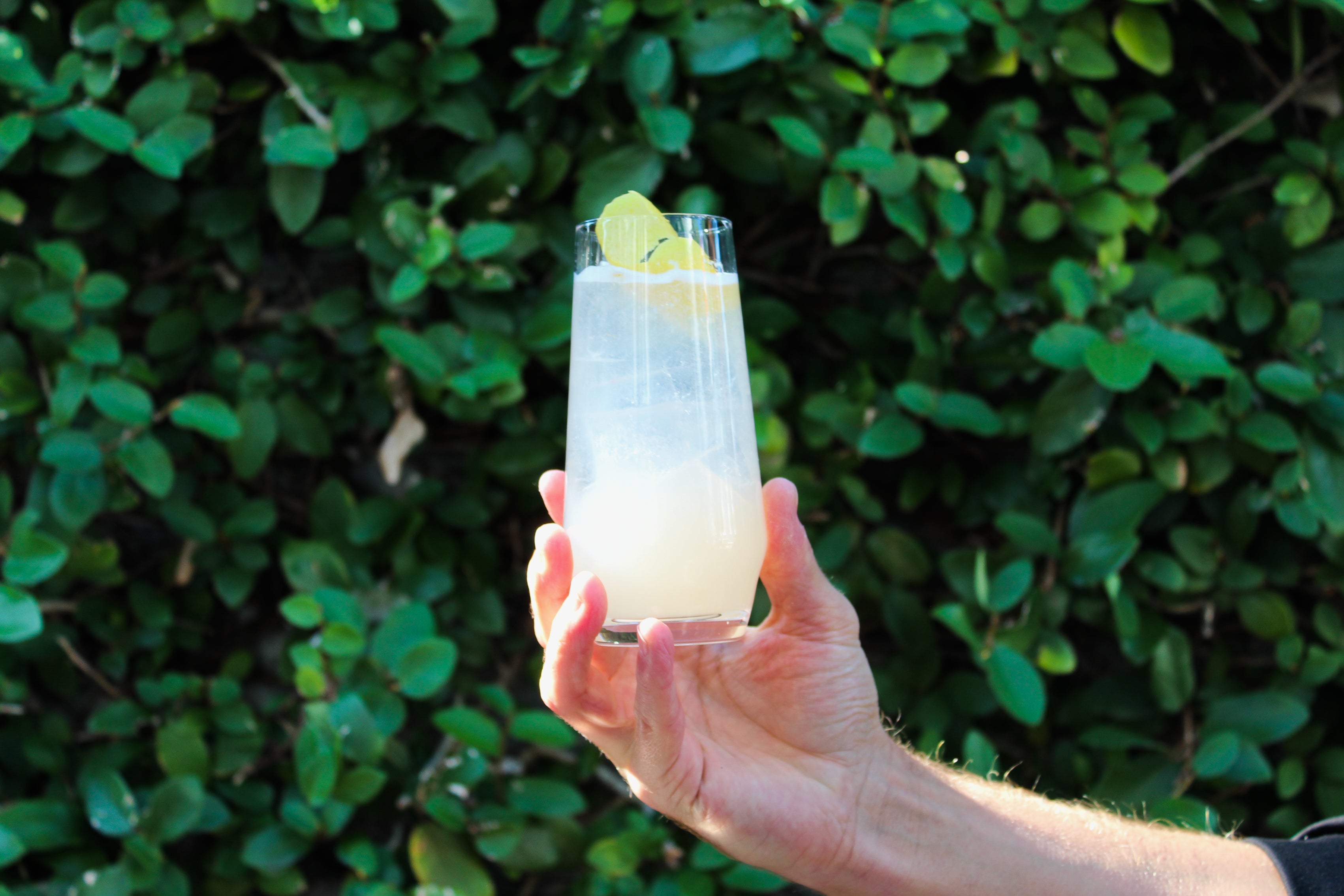 Longitude Lane Cocktail – FIELD + SUPPLY