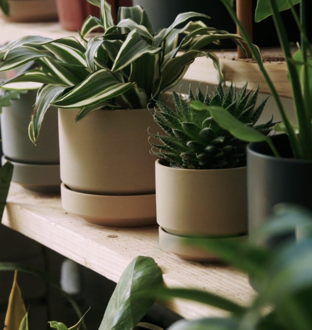 LBE Design – FIELD + SUPPLY