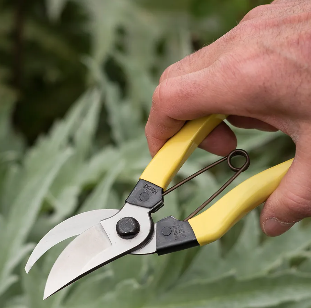 Niwaki – FIELD + SUPPLY