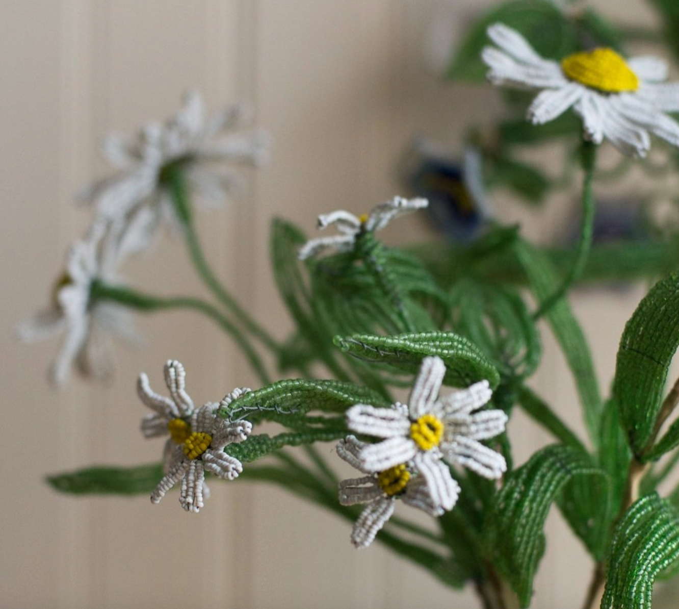 Quittner – FIELD + SUPPLY